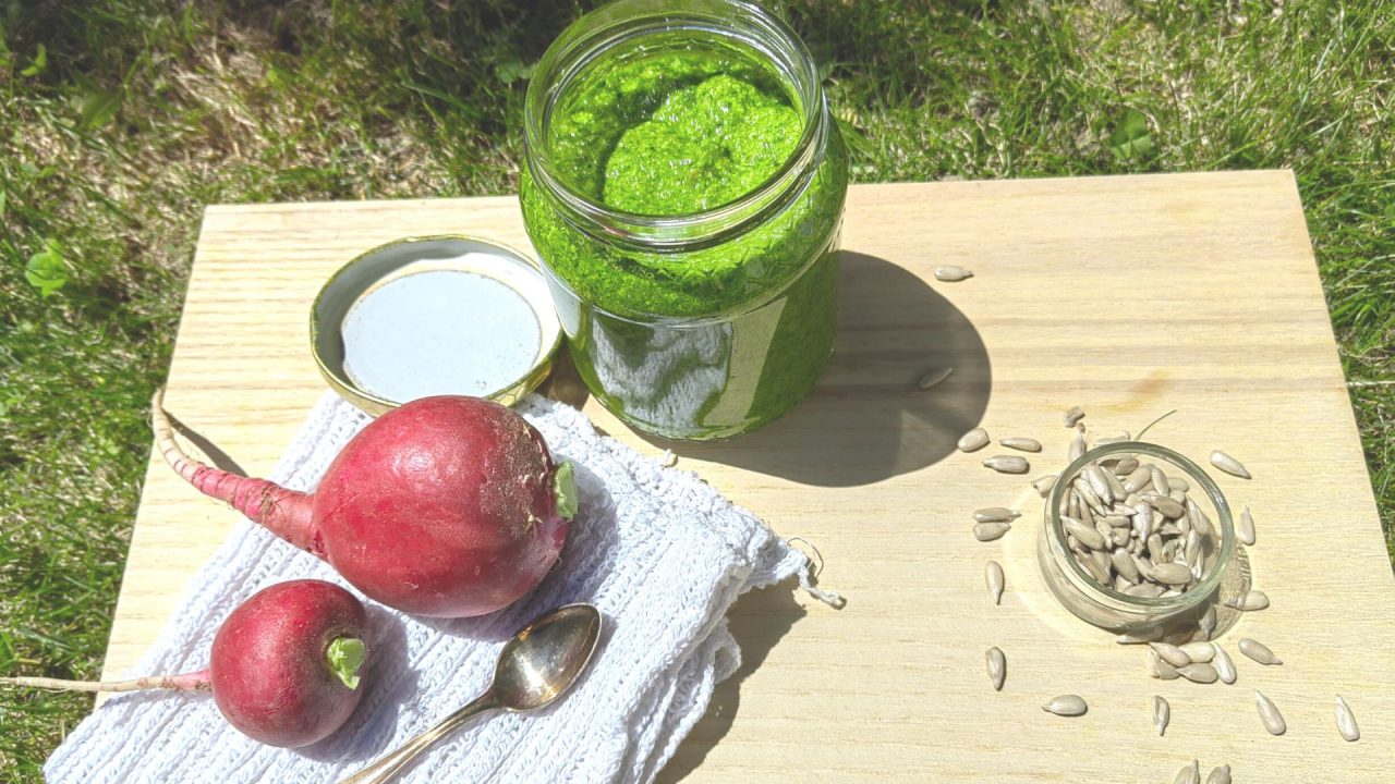 Radieschengrün Pesto - die Superkraft für unseren Darm ...